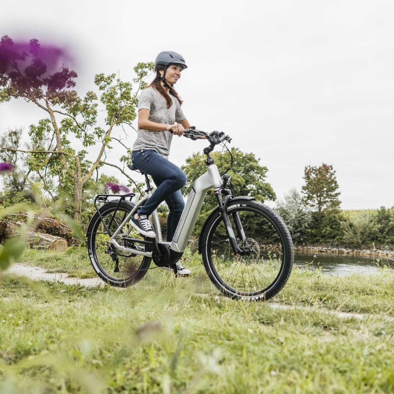 Flyer Gotour6 3.40 Elcykel, Cast Silver Gloss - Sportproffsen.se